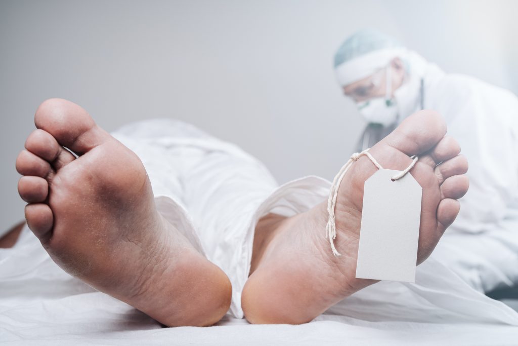 Patient Safety System Support / Patton Healthcare Consulting